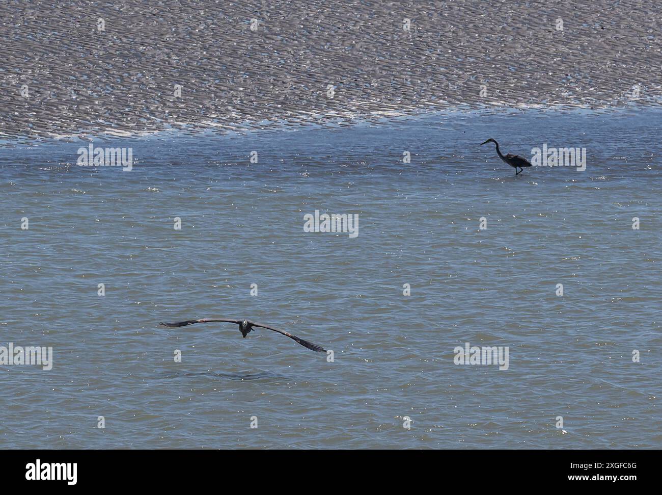 Vancouver CAN, Kanada / Canada, Urlaubseindruecke und ...