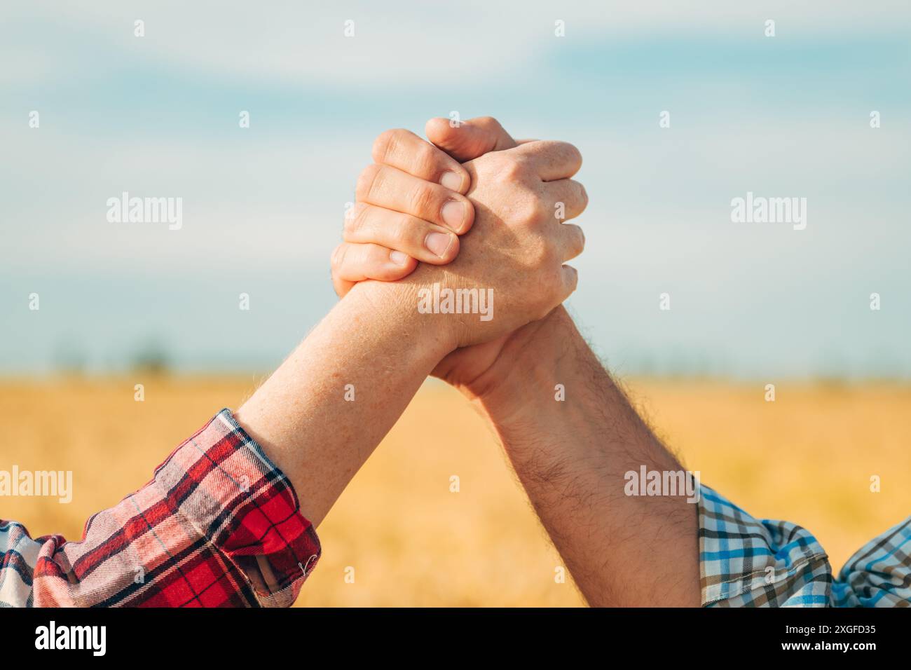 Male farmer with woman handshake hi-res stock photography and images ...