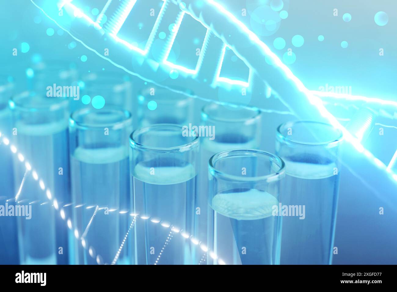 Illustrations of DNA and test tubes with samples, double exposure Stock ...