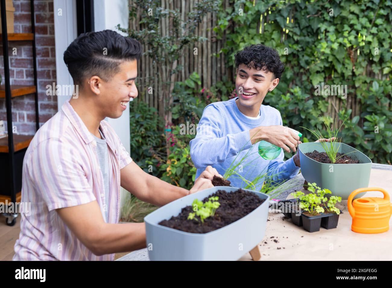 Planting and watering seedlings, two men gardening together outdoors ...