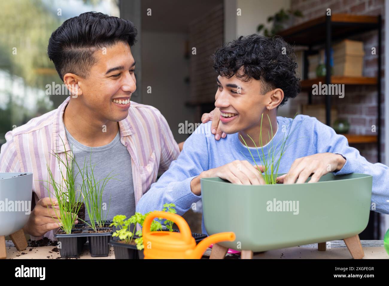 Smiling gay couple planting herbs together in pots at home, enjoying ...