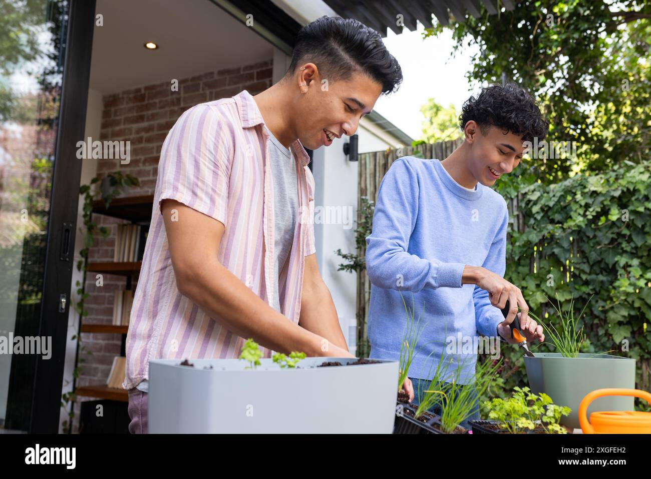 Planting herbs in garden, two men enjoying gardening together outdoors ...