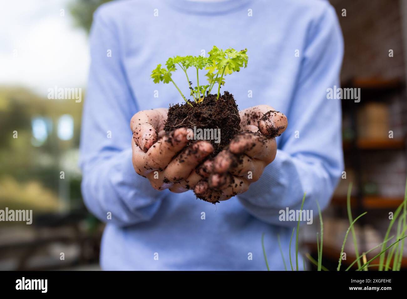 Leaf person plant organic hi-res stock photography and images - Alamy
