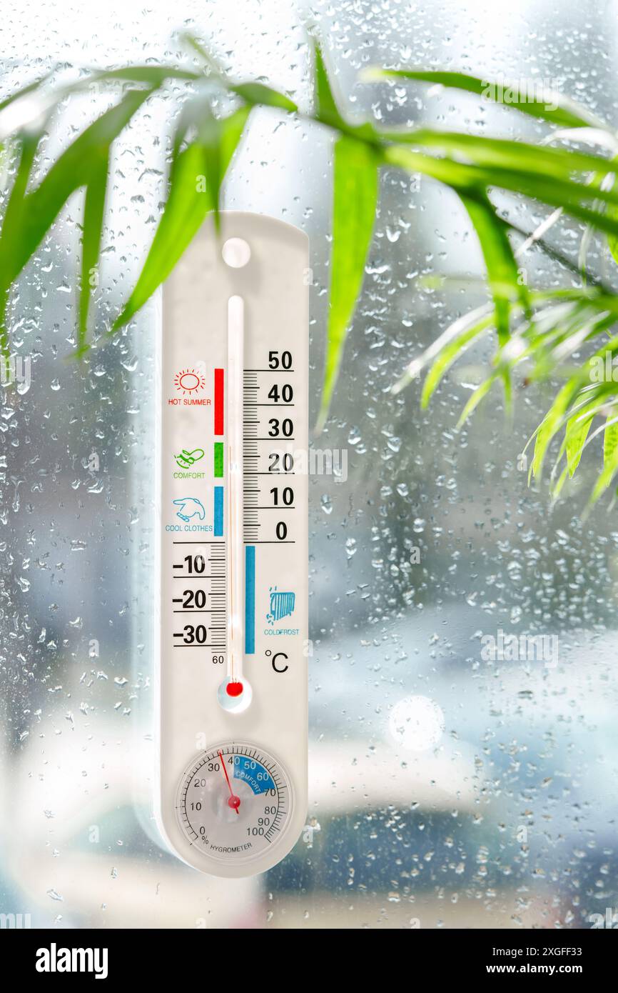 Thermometer Attached to Window With Rain and Plant Stock Photo - Alamy