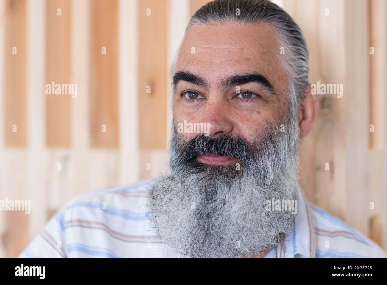 Senior man gray hair beard hi-res stock photography and images - Alamy