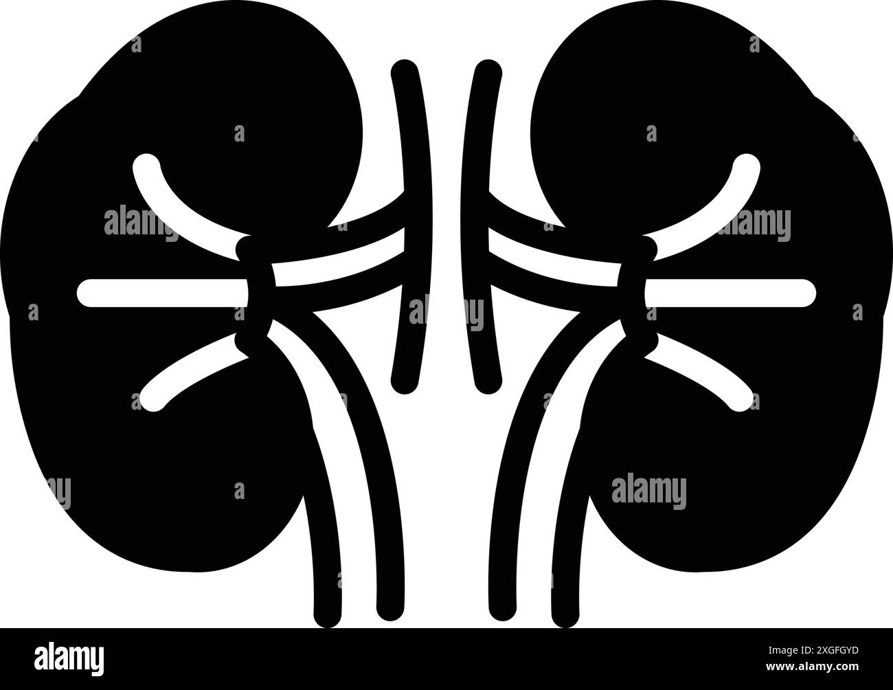 Icon for kidney,renal Stock Vector Image & Art - Alamy