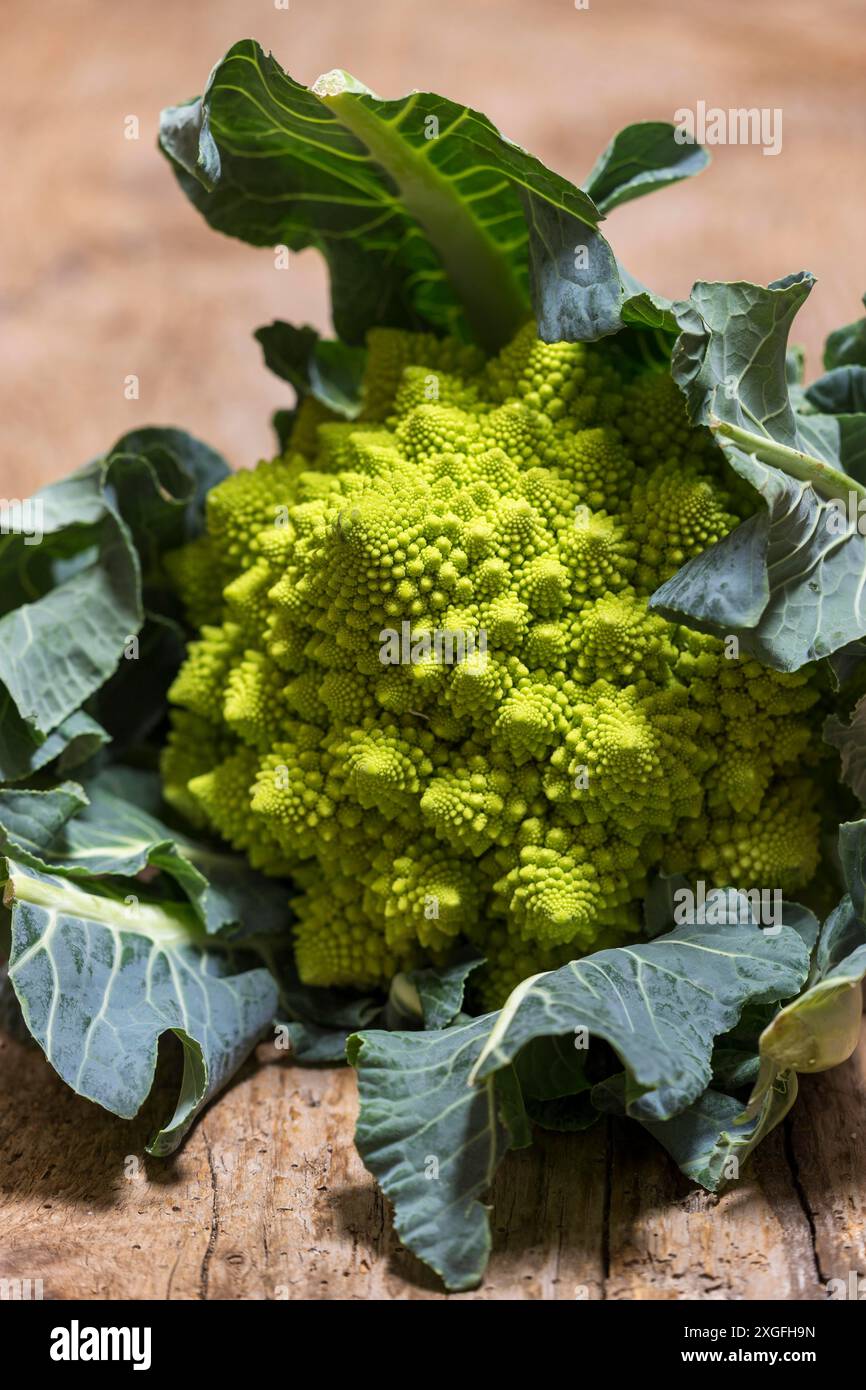 Romanesco close up hi-res stock photography and images - Alamy