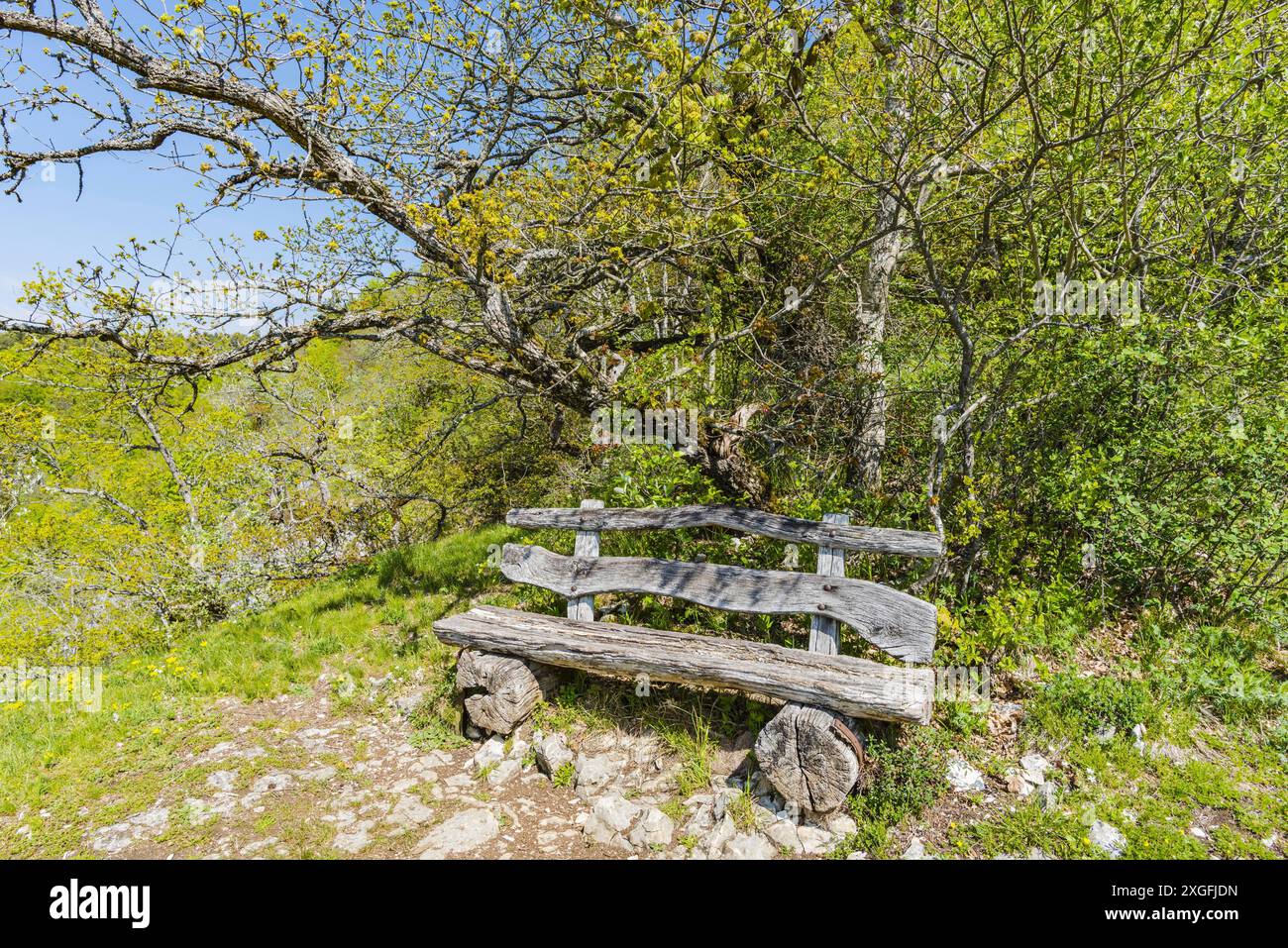 Empty park bench at the Rauher Stein viewpoint, Danube Valley nature ...