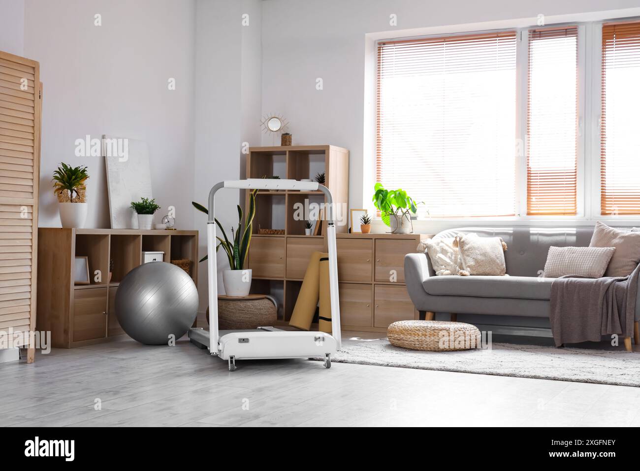 Interior of cozy living room with treadmill, shelf units and sofa Stock ...