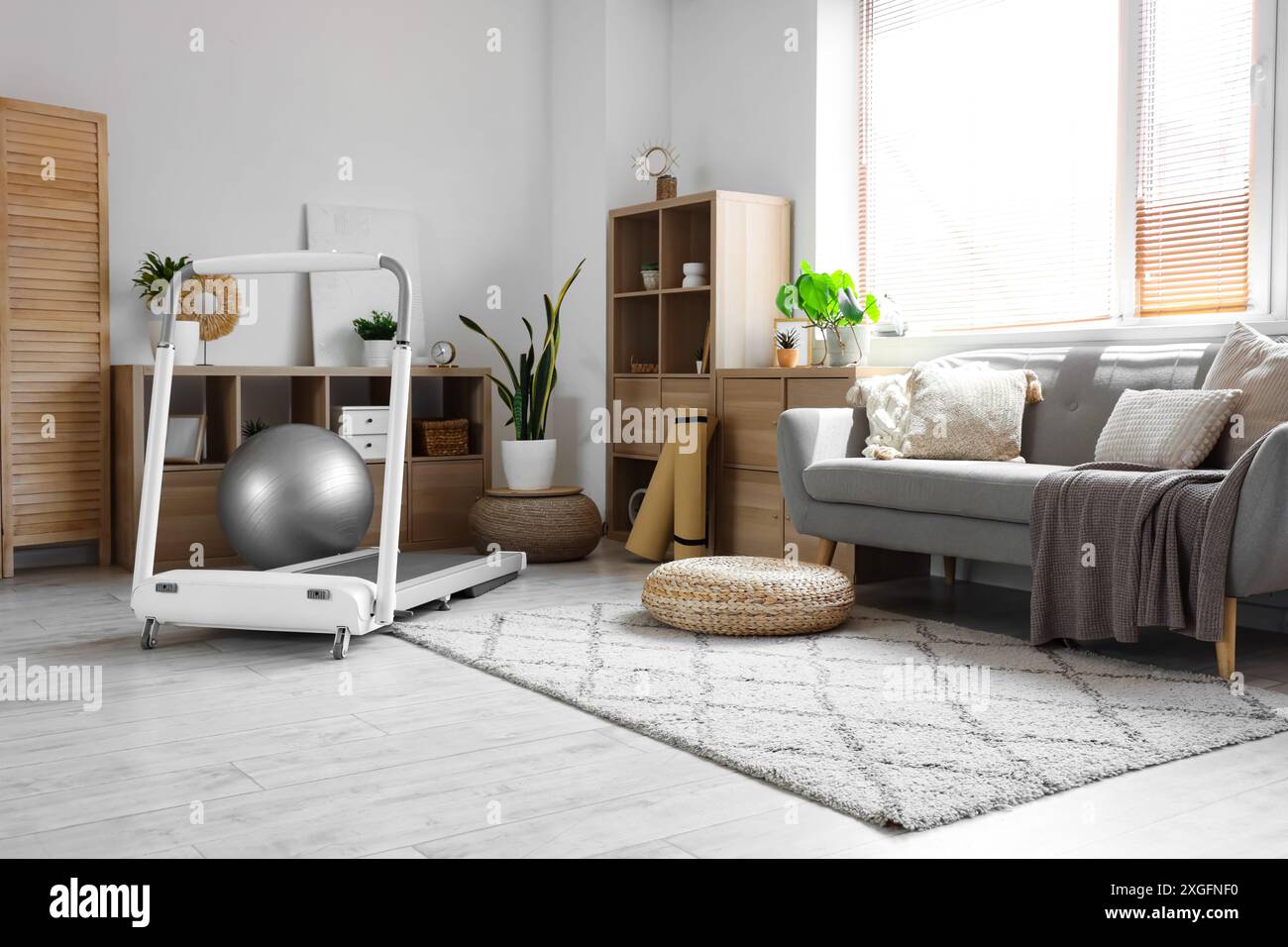 Interior of cozy living room with treadmill, shelf units and sofa Stock ...