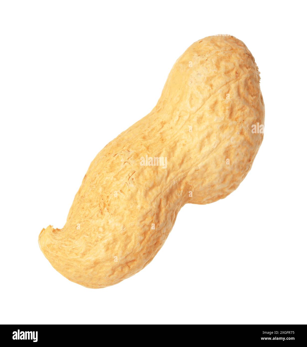 One fresh unpeeled peanut isolated on white Stock Photo - Alamy