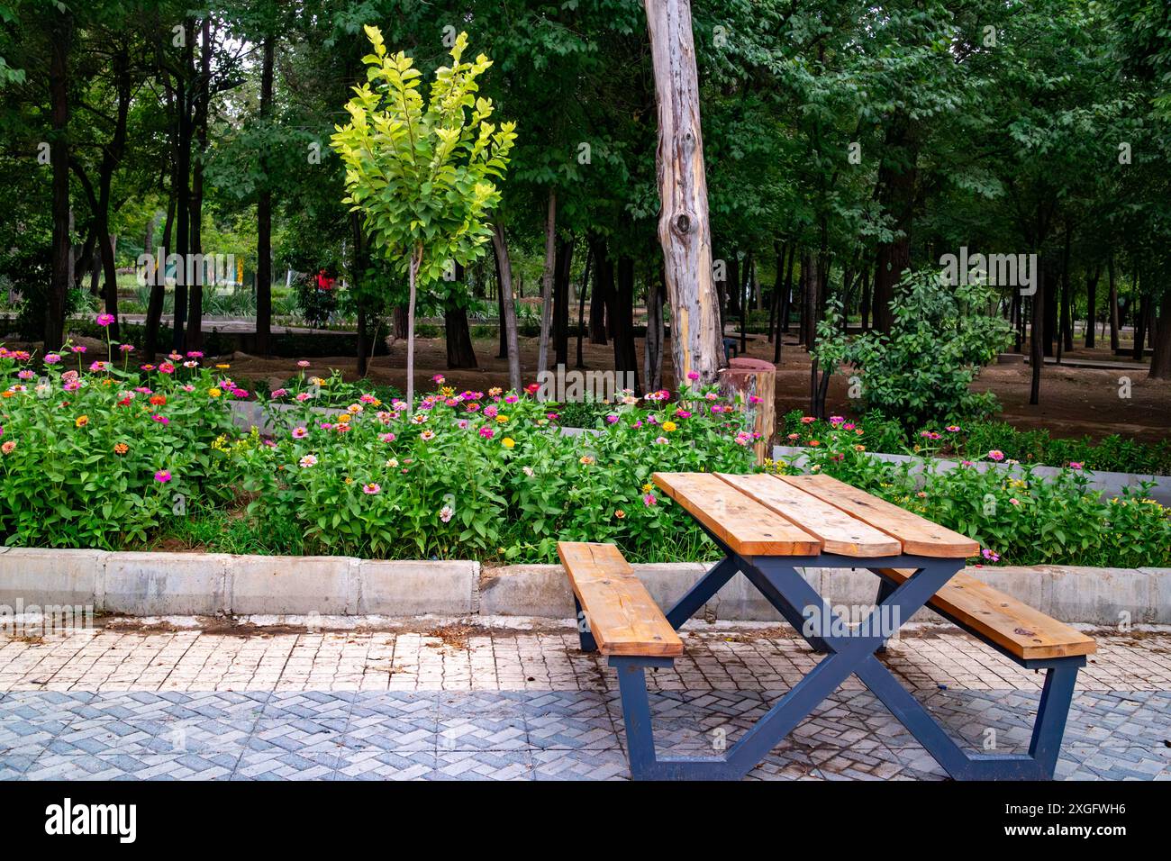 Bench in public space hi-res stock photography and images - Alamy