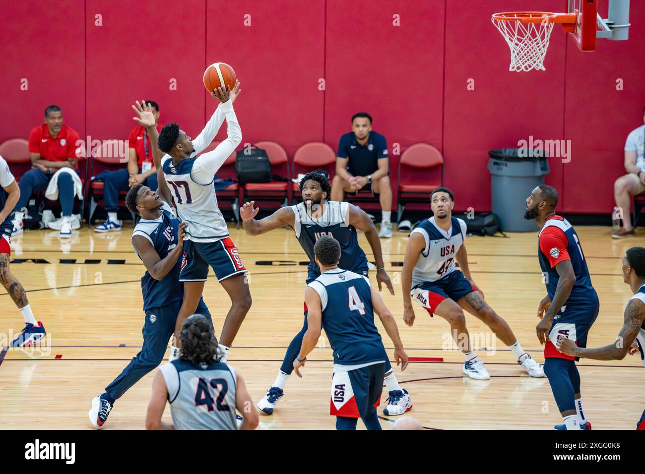 Brandon miller nba hi-res stock photography and images - Alamy