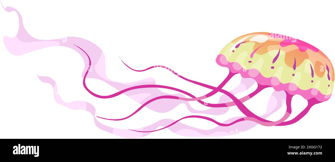 Purple Yellow Jellyfish Vector vector Stock Vector Image & Art - Alamy