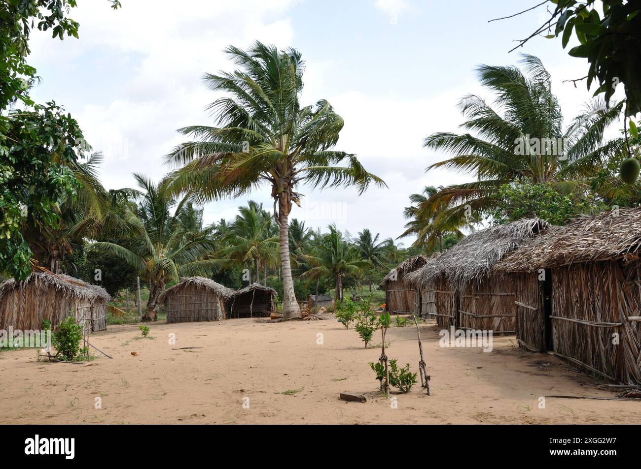 Straw huts, Licaca, Inhambane, Mozambique Stock Photo - Alamy
