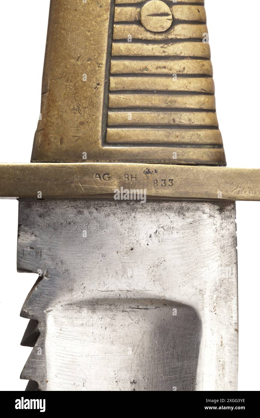 weapons, swords, dusack, 19th century, PROPERTY-RELEASED Stock Photo ...