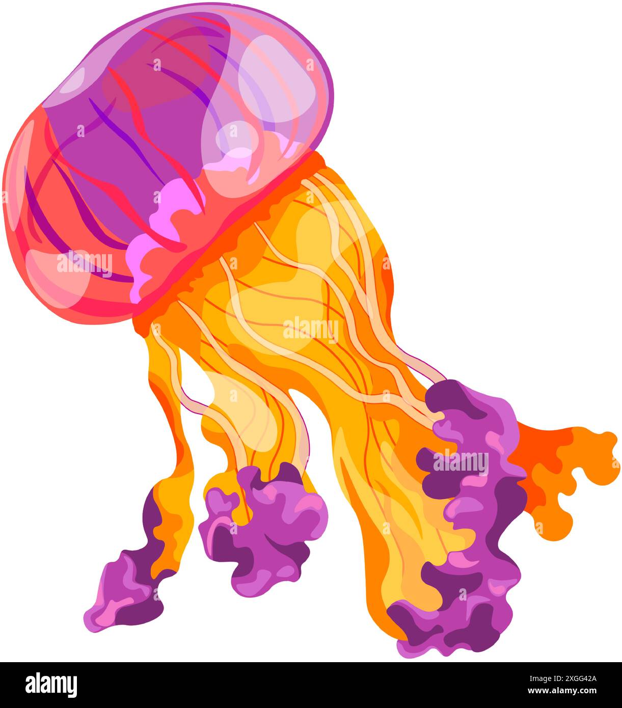 Vibrant Orange Jellyfish Vector illustration Stock Vector Image & Art ...
