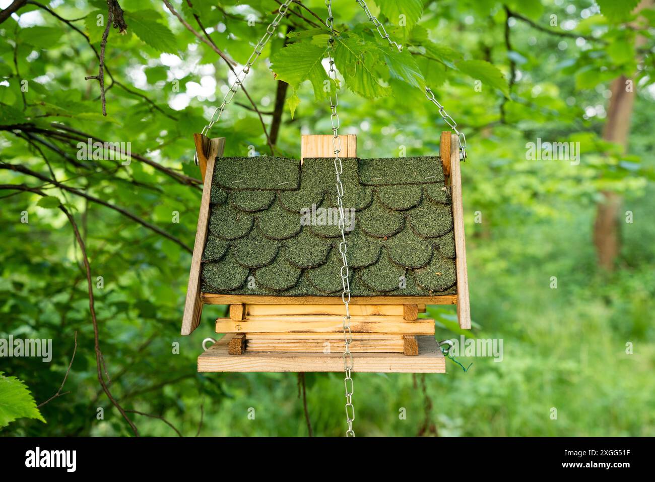Detailed back view birds hi-res stock photography and images - Alamy