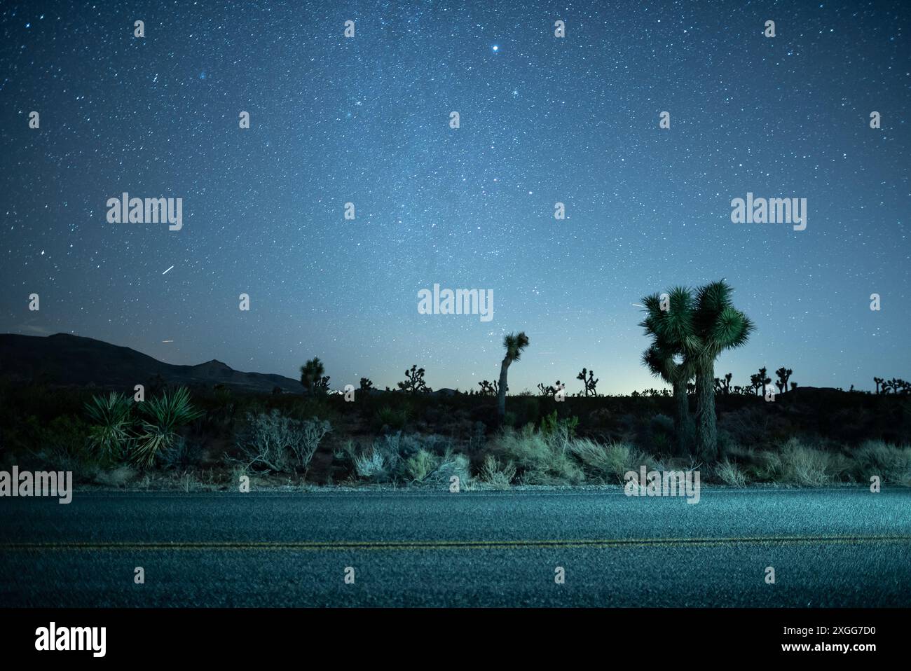 A starry night sky over Joshua Tree National Park, California Stock ...