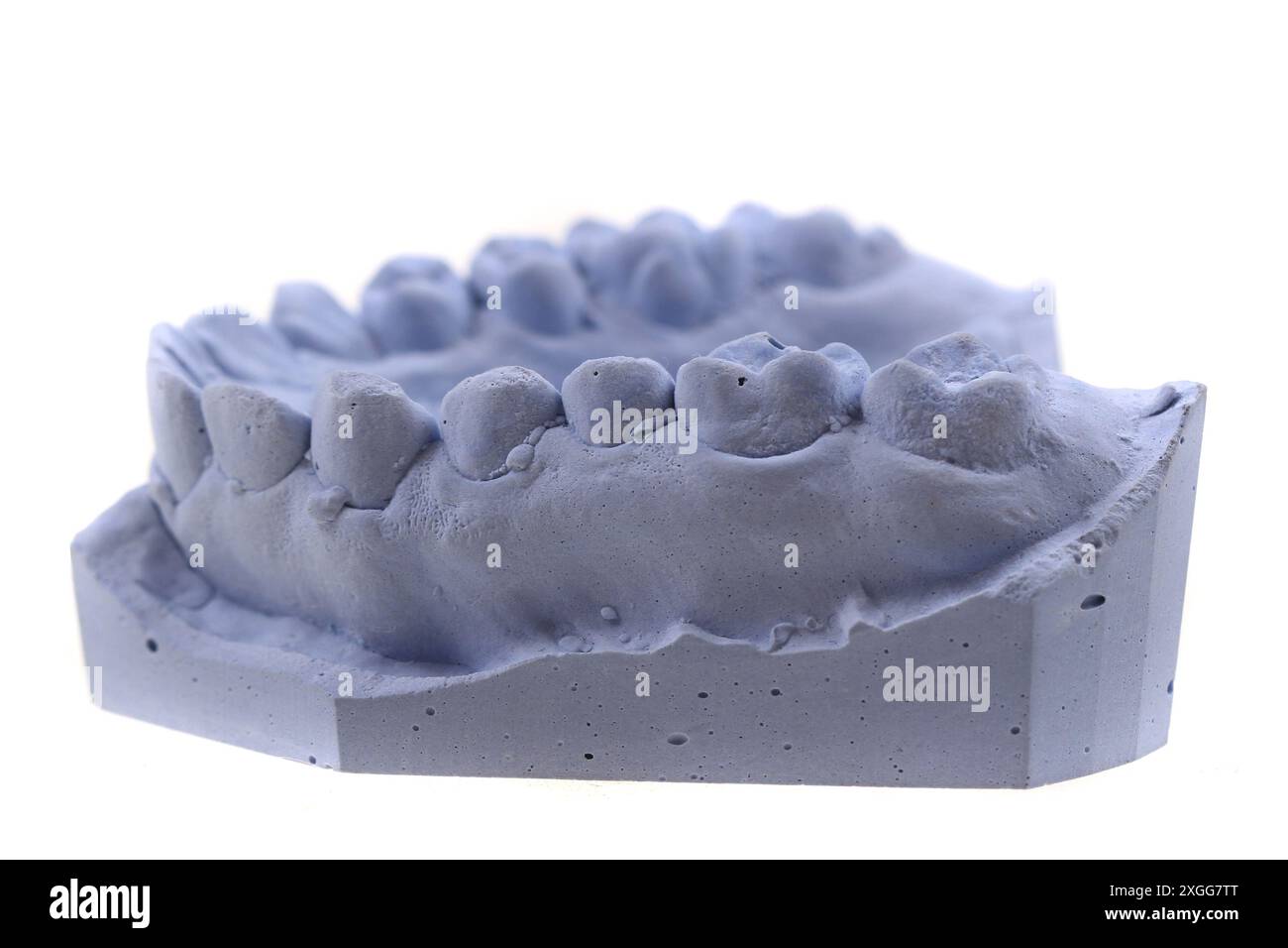 Gypsum model hi-res stock photography and images - Alamy