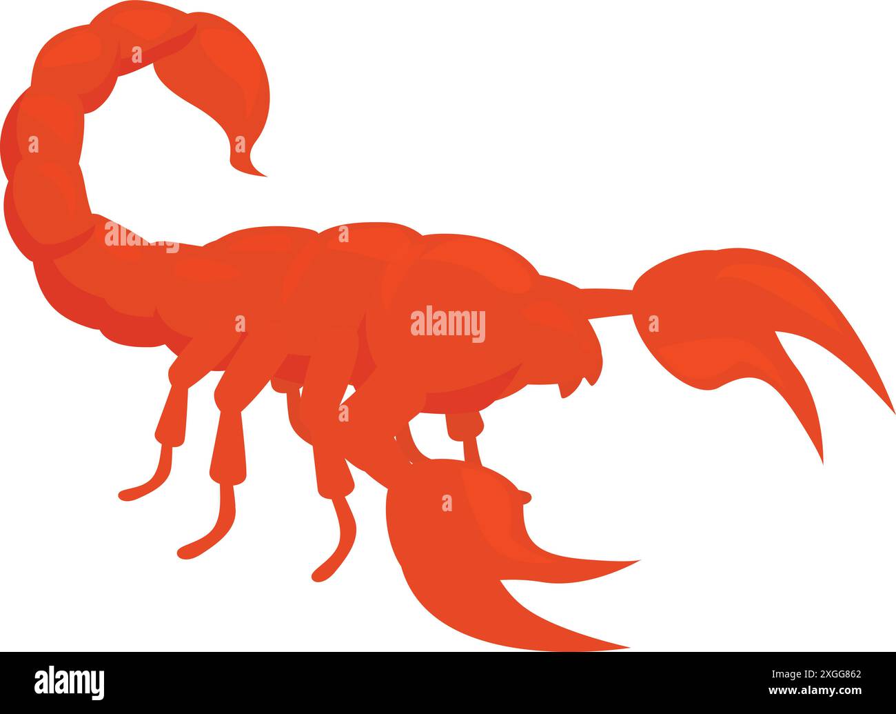 Red scorpion with raised stinger and claws, an arachnid with a venomous ...