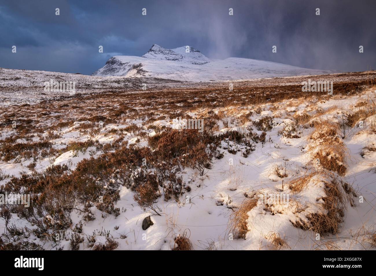 Physical mor hi-res stock photography and images - Alamy