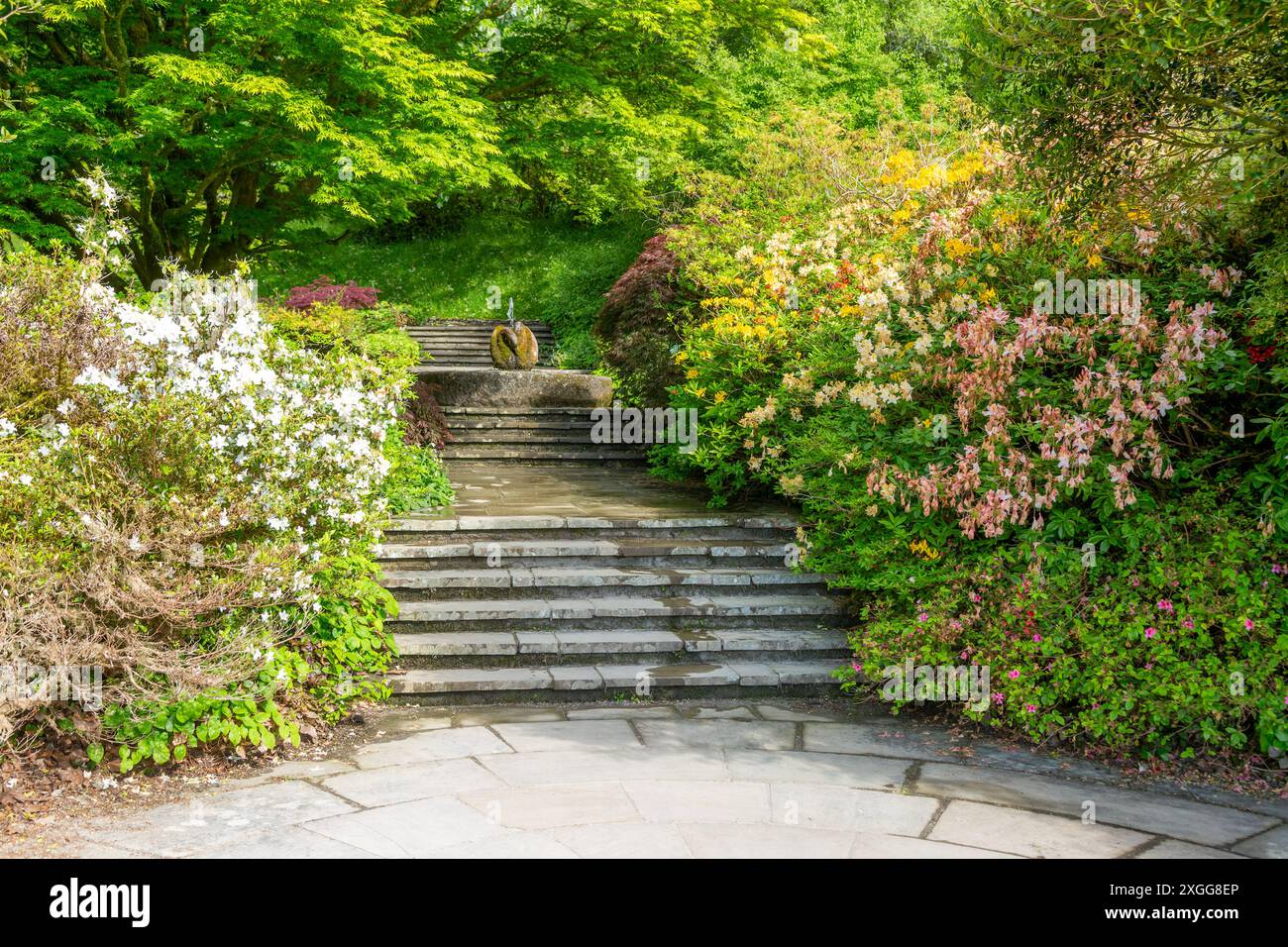Swan Fountain sculpture by Willi Soukop, 1950, in garden, Dartington ...