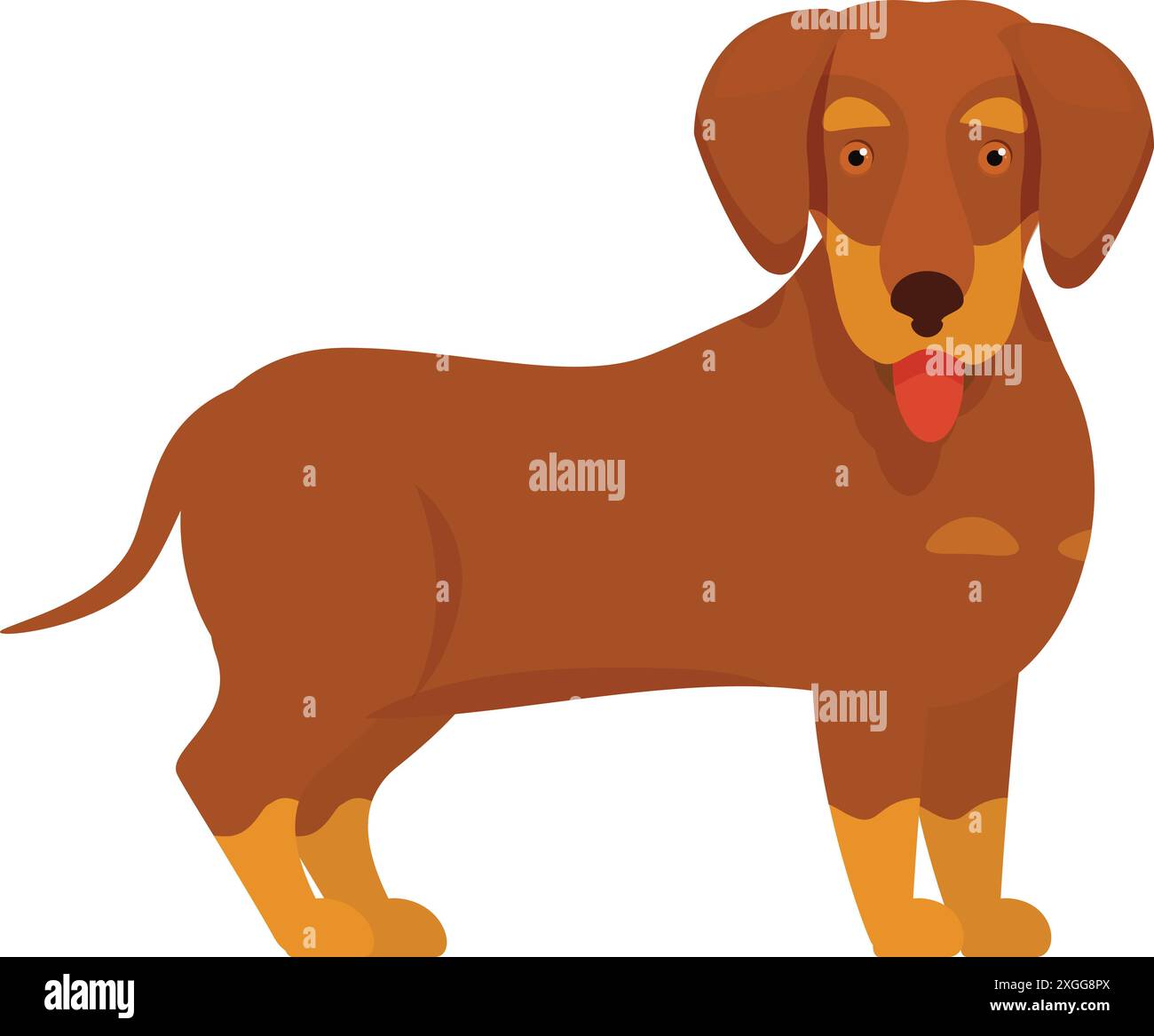 Badger standing Stock Vector Images - Alamy