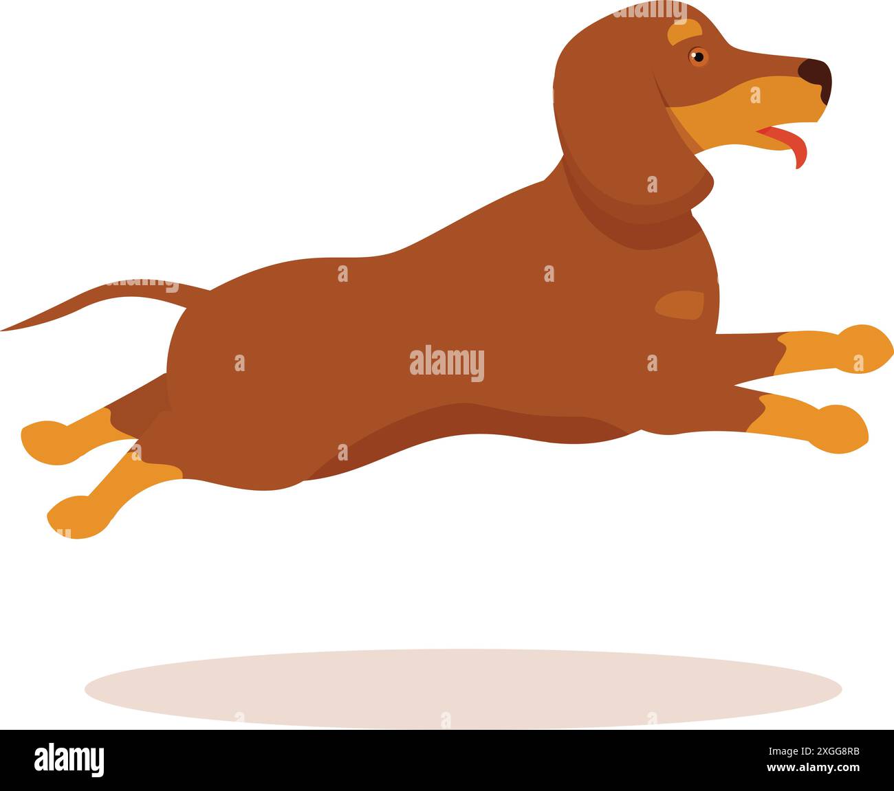 Cartoon illustration of a brown dachshund jumping and having fun Stock ...
