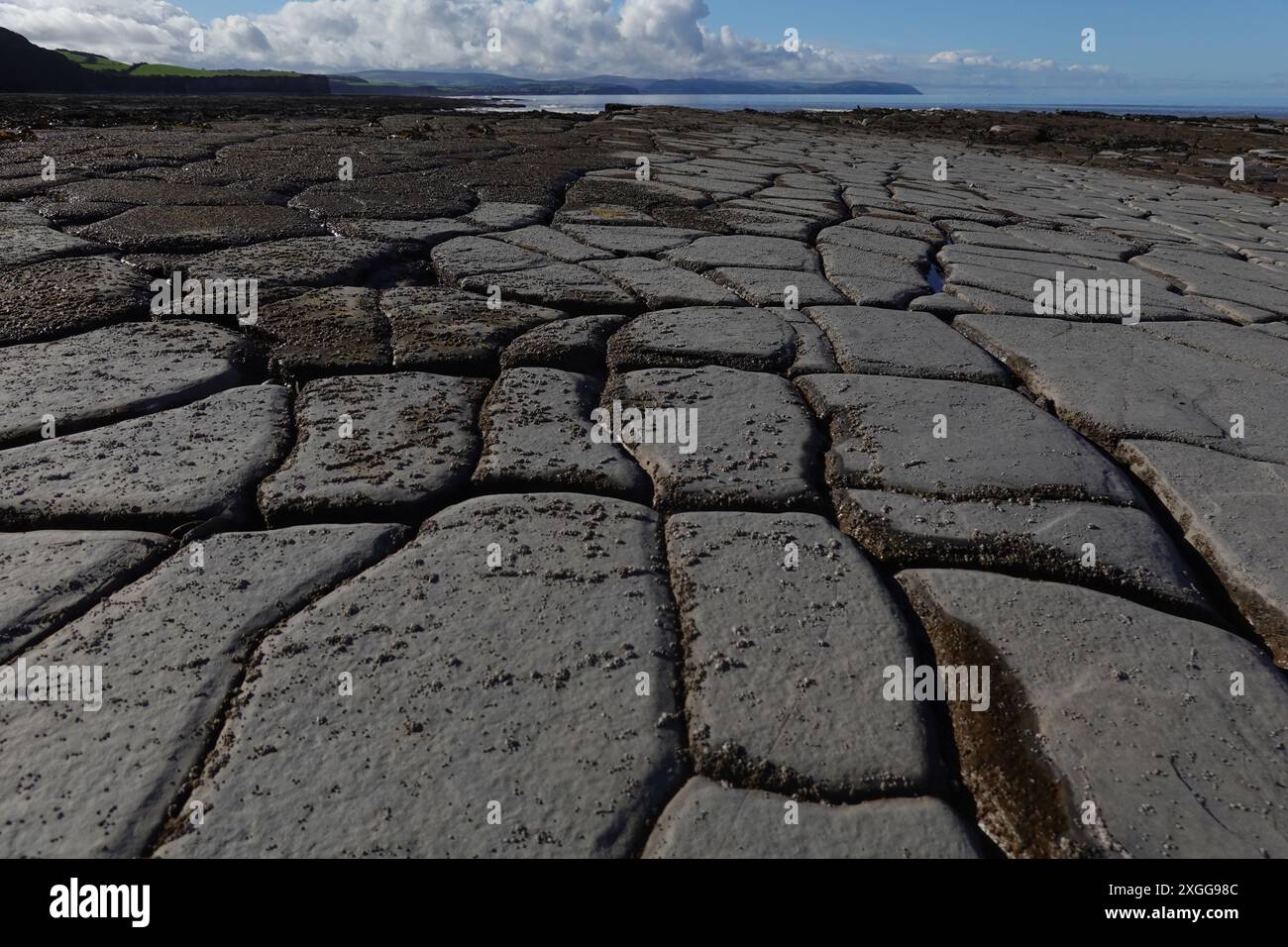 The intertidal zone of the Quantock Coast, containing an abundance of ...