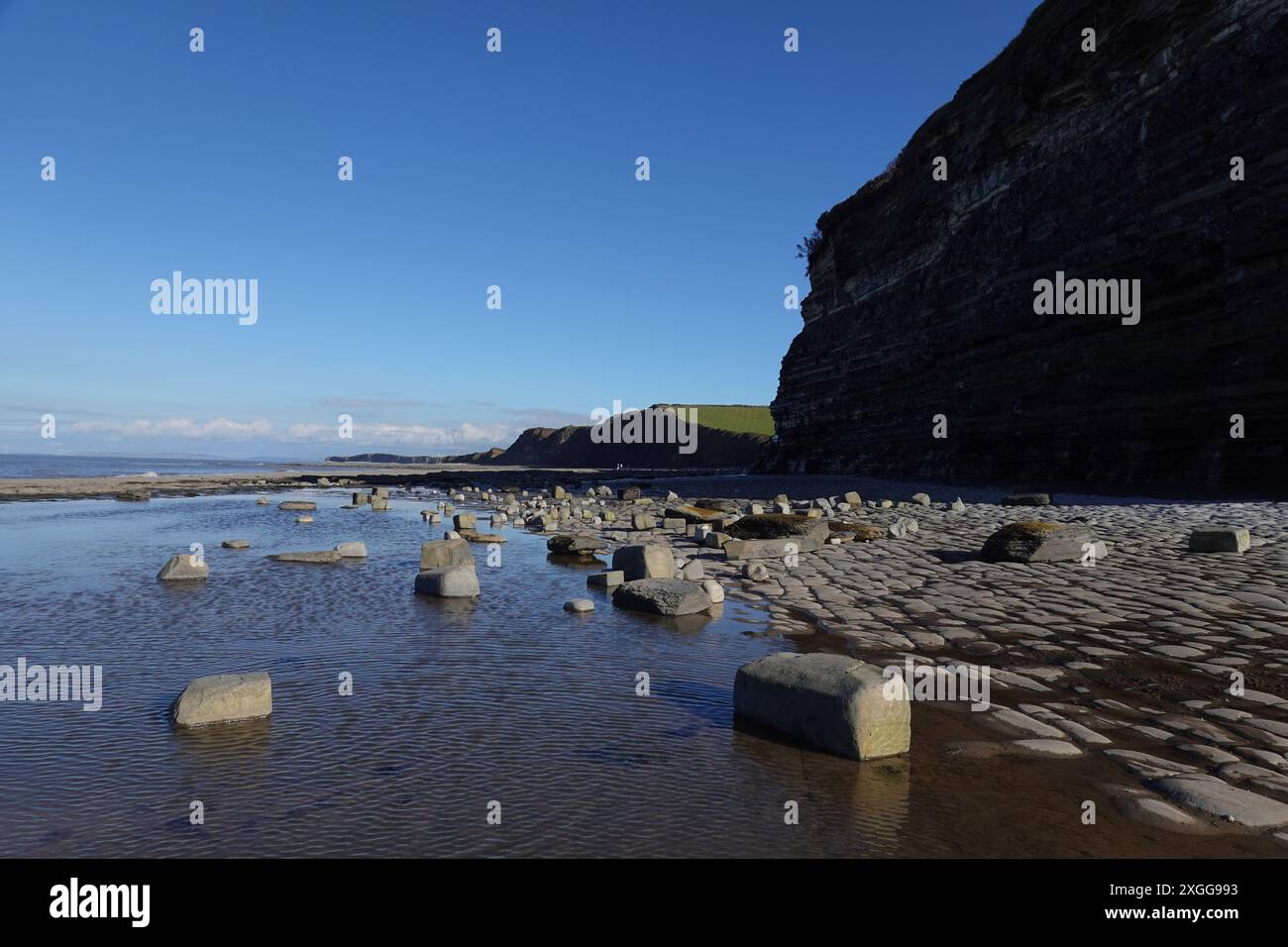 The intertidal zone of the Quantock Coast, containing an abundance of ...