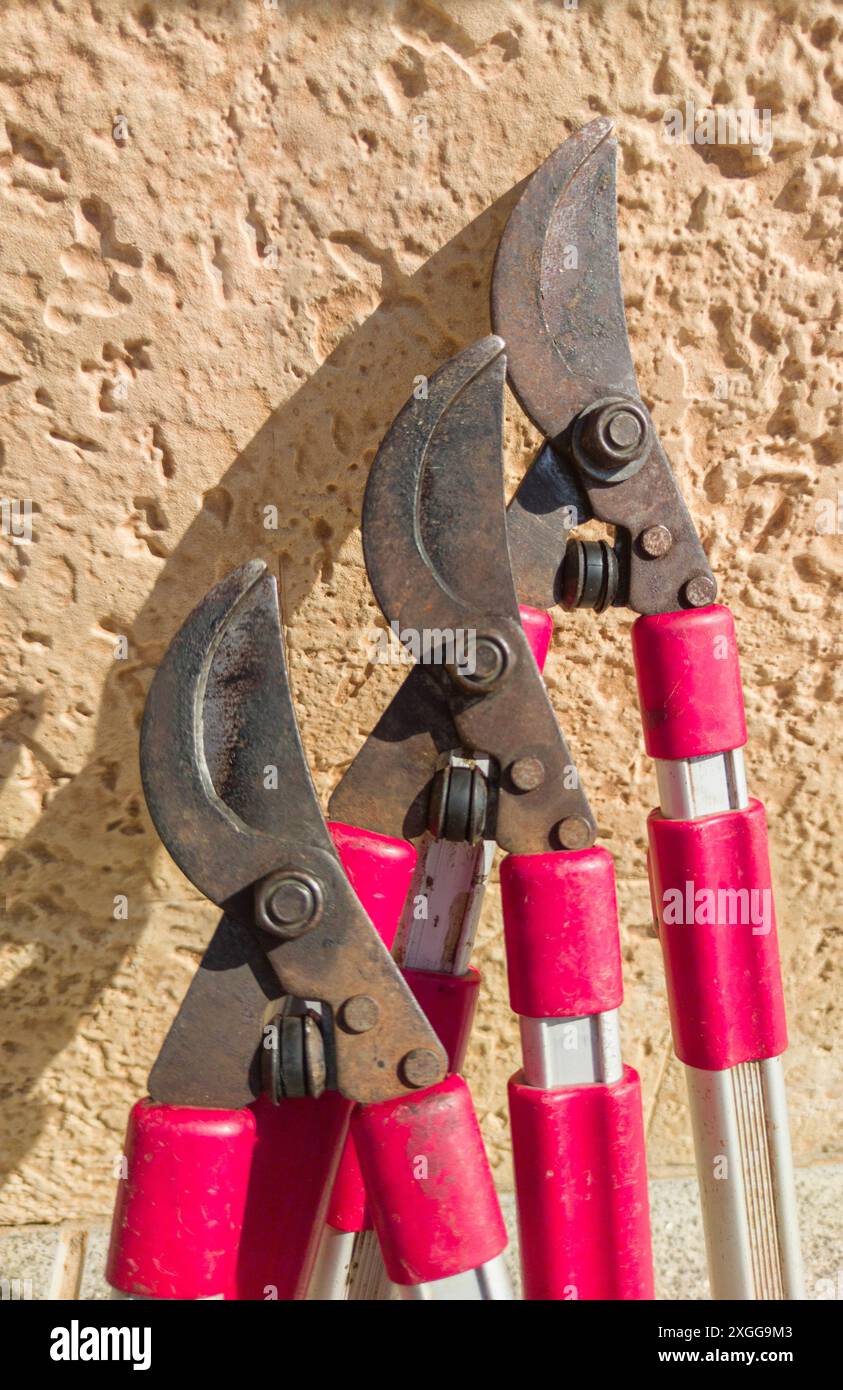 Two-handed shears over rock surface. Pruning activities in gardens ...
