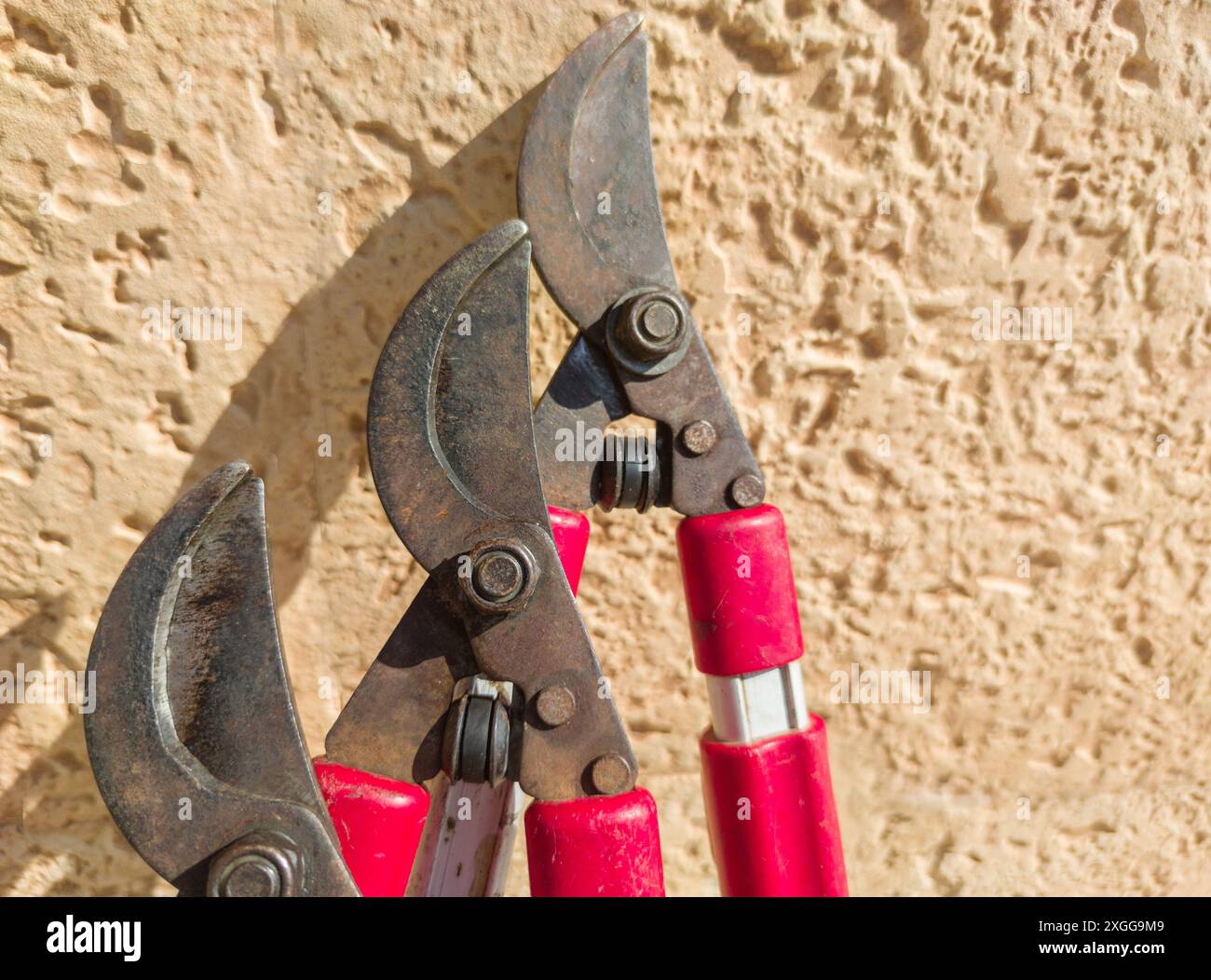 Two-handed shears over rock surface. Pruning activities in gardens ...
