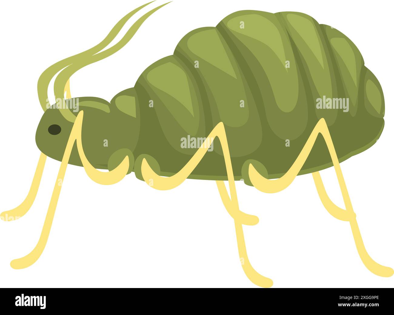 Green aphid insect pest crawling side view isolated on white background ...