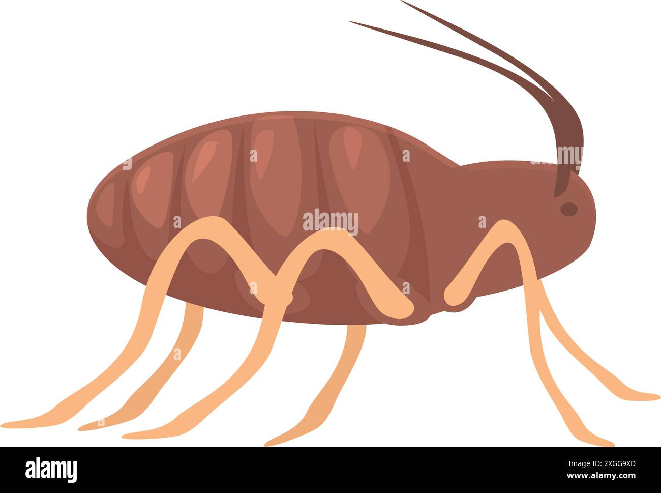 Crawling side Stock Vector Images - Alamy