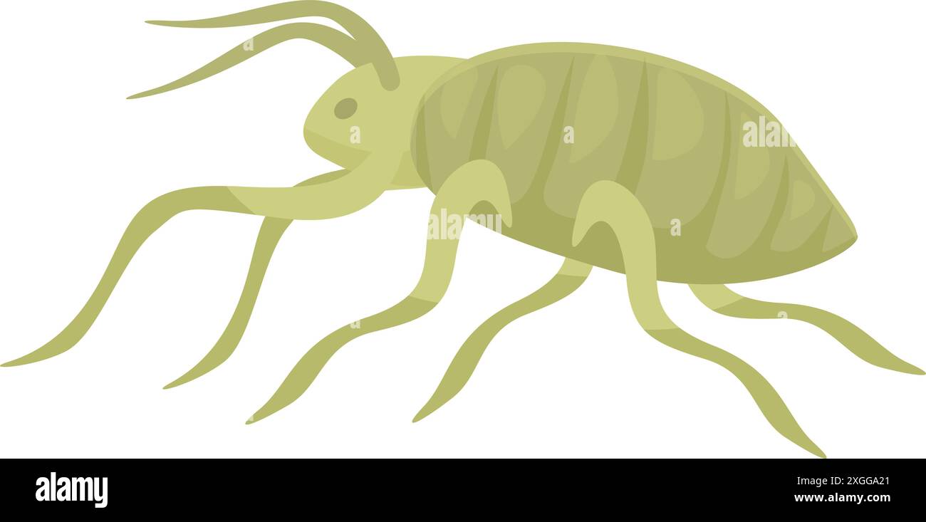 Green louse insect is crawling on a white background Stock Vector Image ...