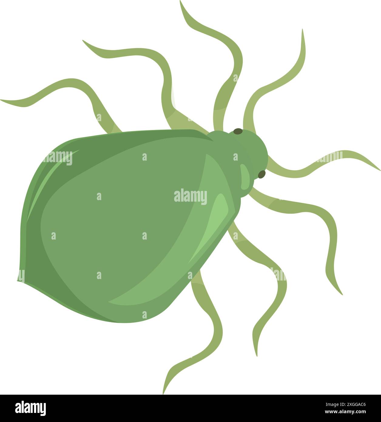 Tick diseases Stock Vector Images - Alamy