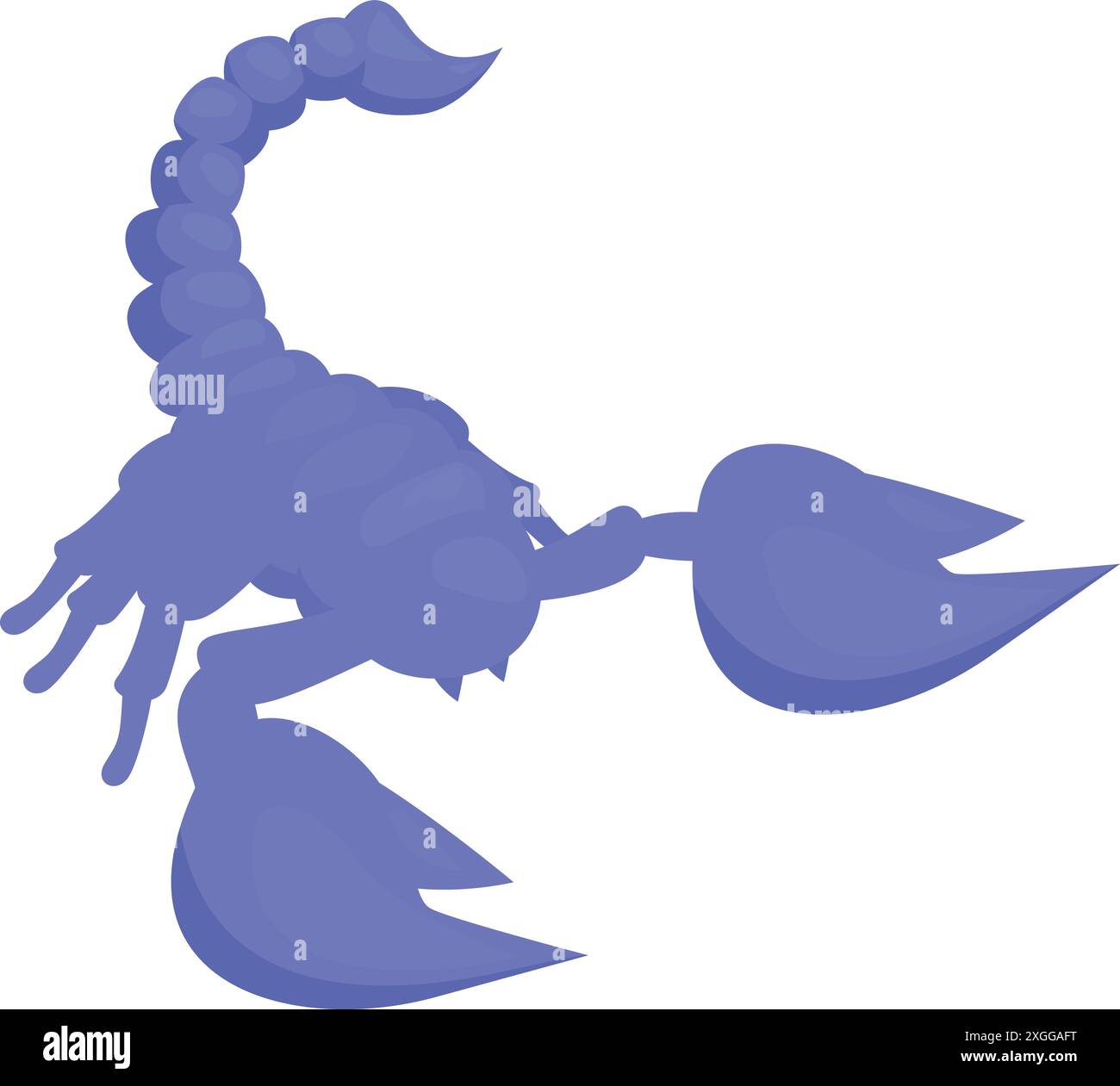 Scorpion stinger ready to strike hi-res stock photography and images ...