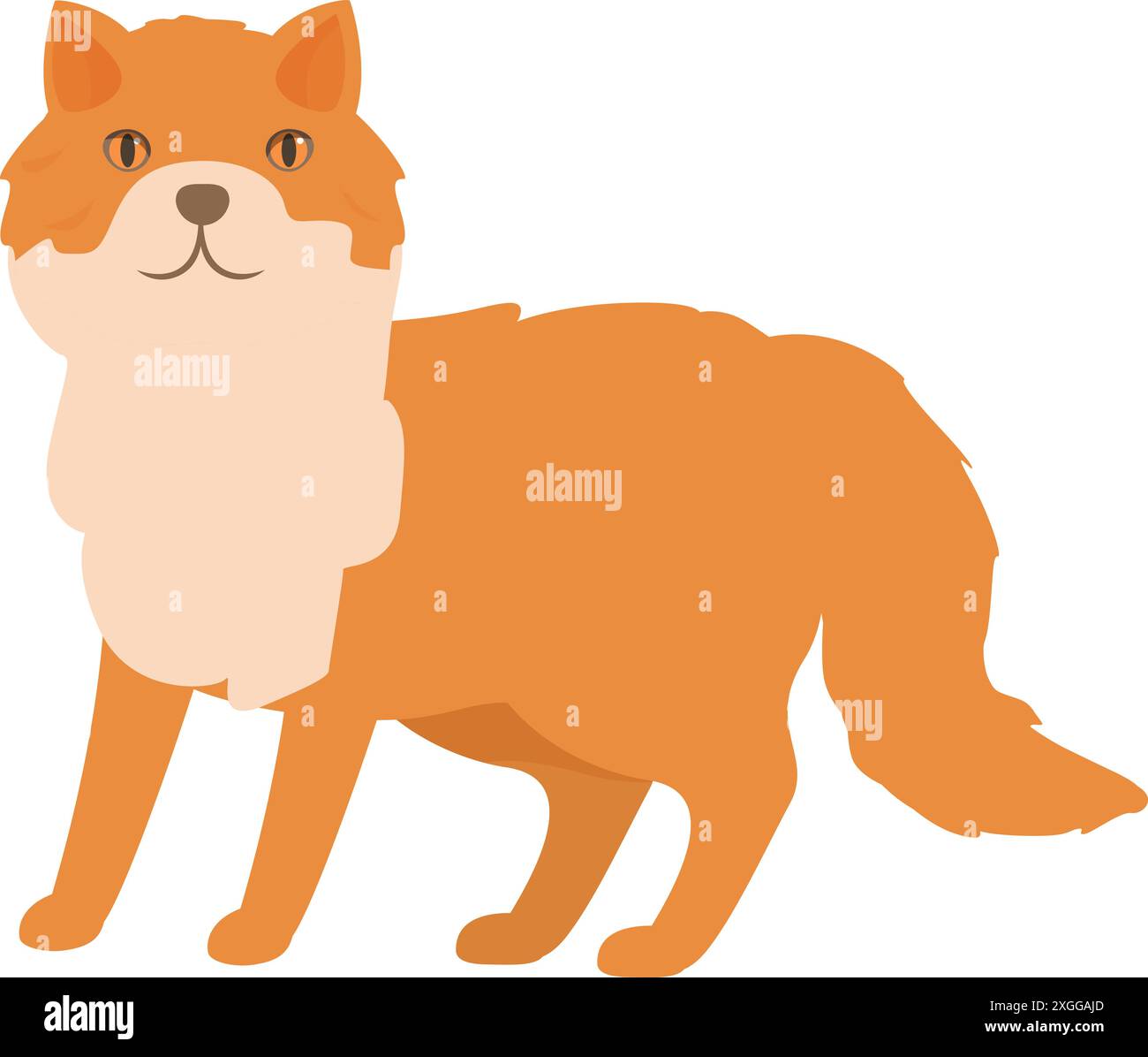 Simple illustration of a cute red cat standing on a white background ...