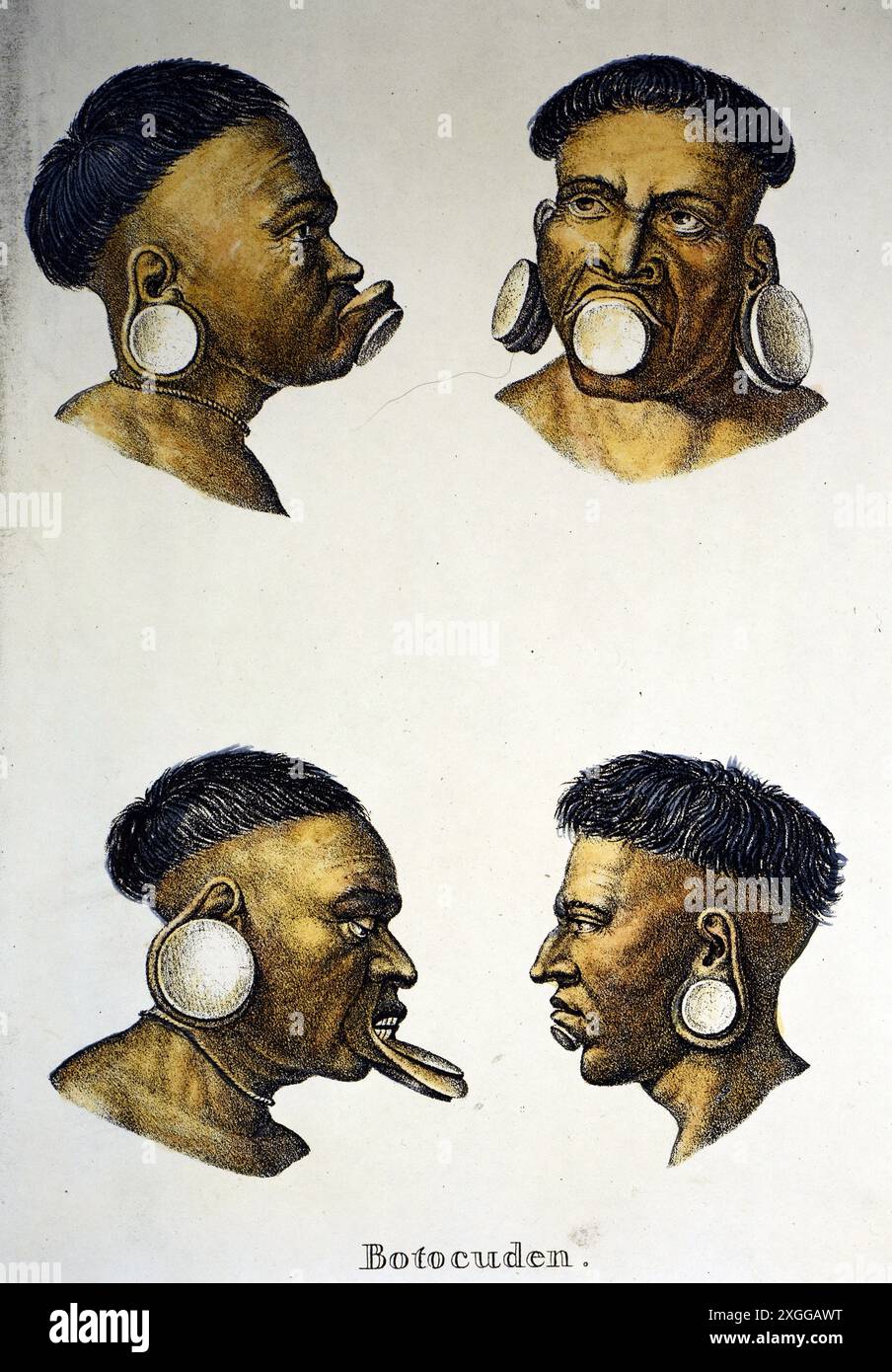 Botocudo tribe hi-res stock photography and images - Alamy