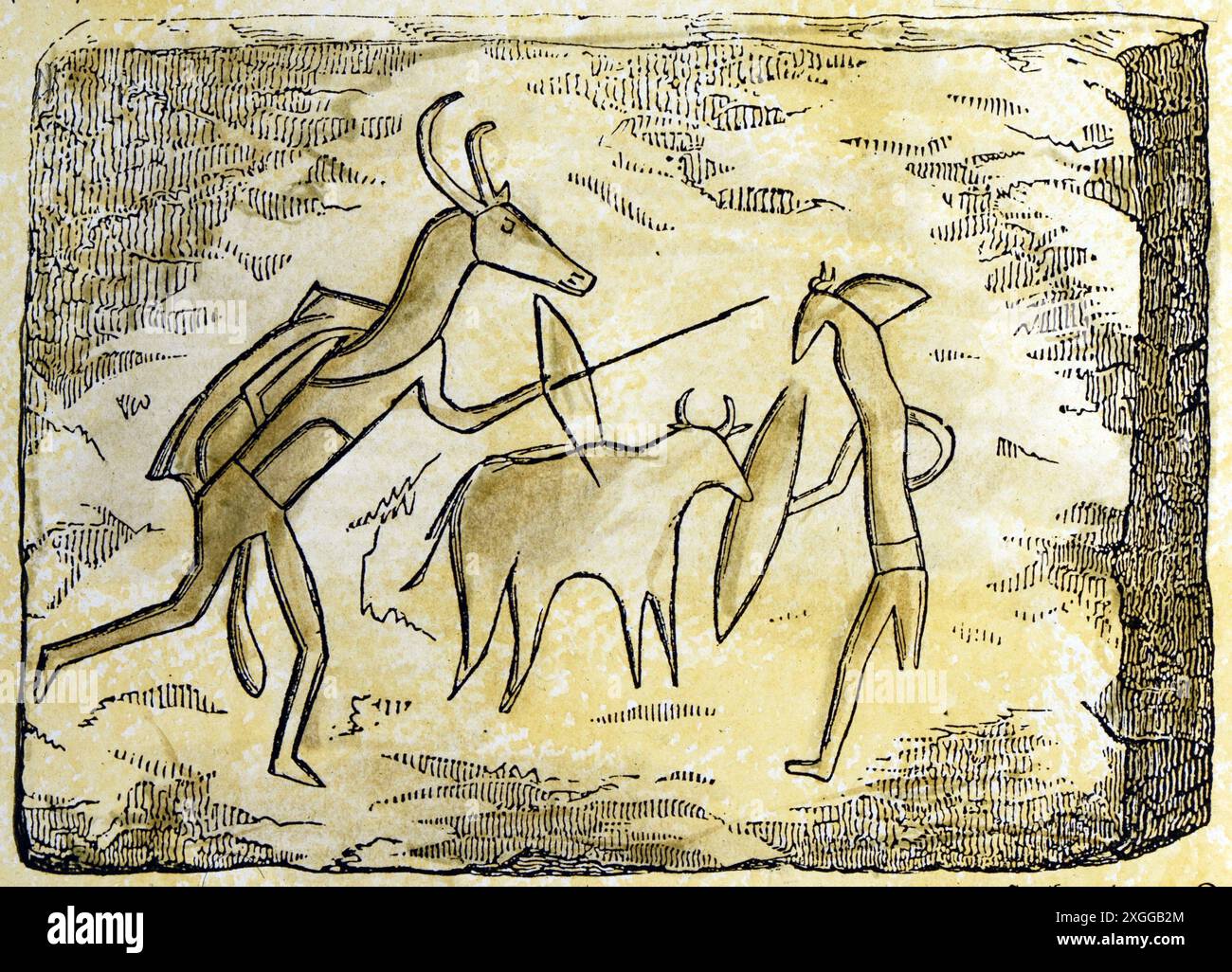 Coloured wood engraving hi-res stock photography and images - Alamy