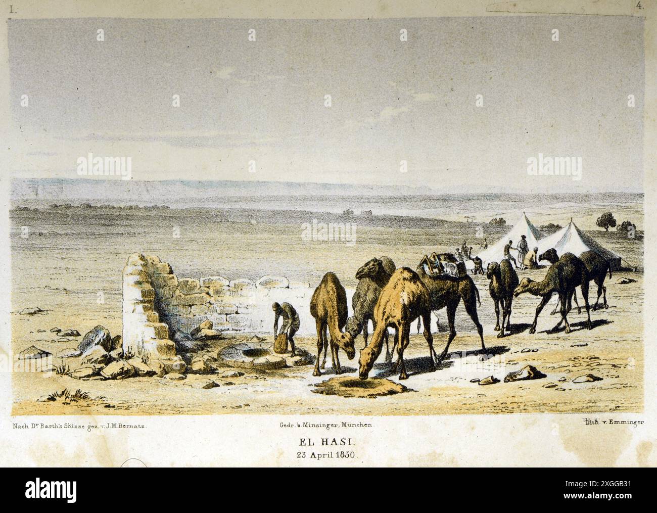 Desert animal drawing hi-res stock photography and images - Alamy