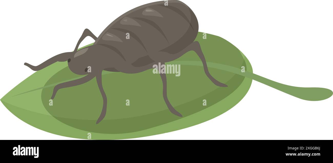 Cartoon image of a large gray beetle with splayed legs standing on top ...