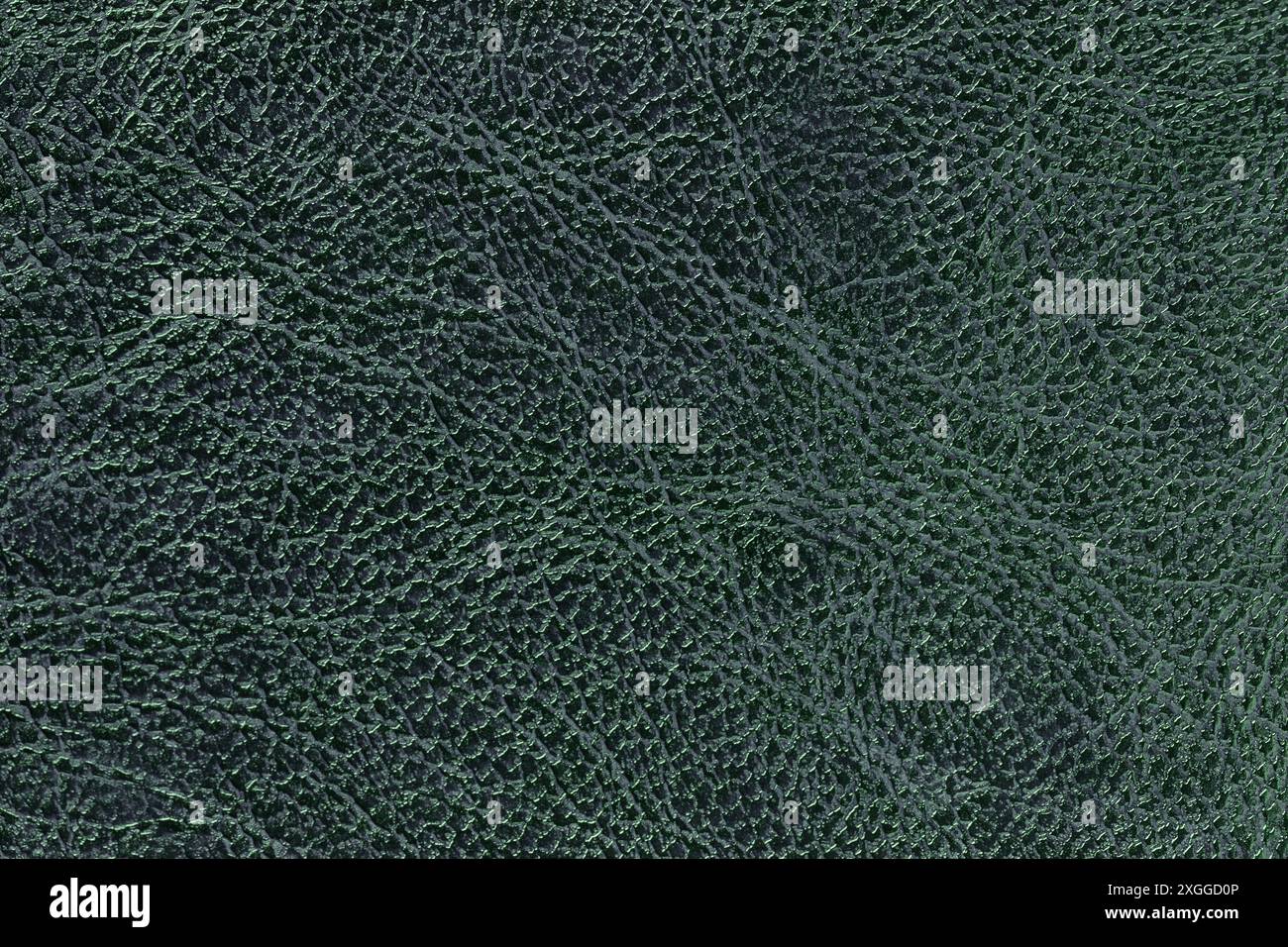 Lacquered dark green leather texture background with pattern, macro ...
