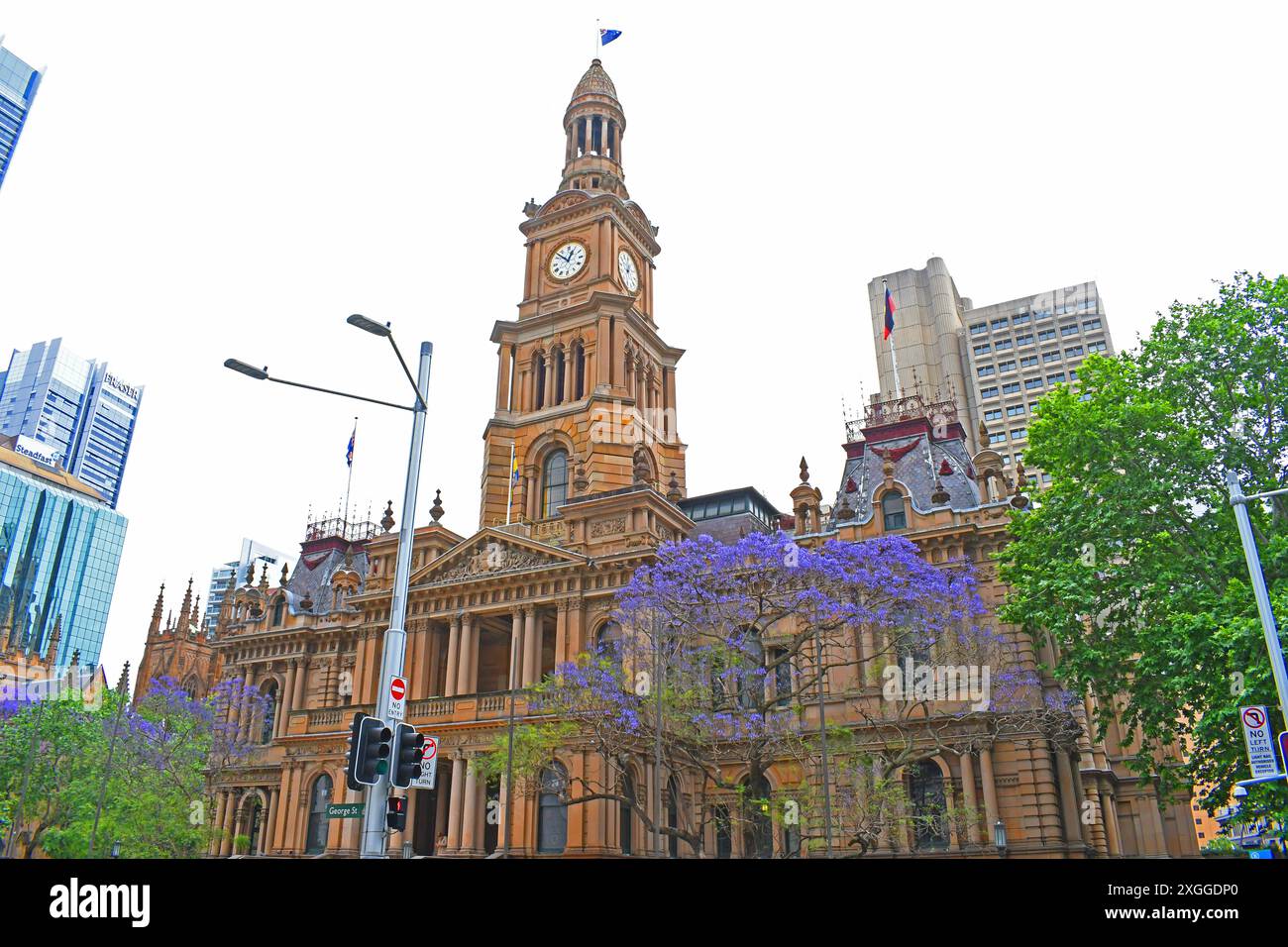 Sydney Town hall building with Jacaranda blooming Stock Photo - Alamy