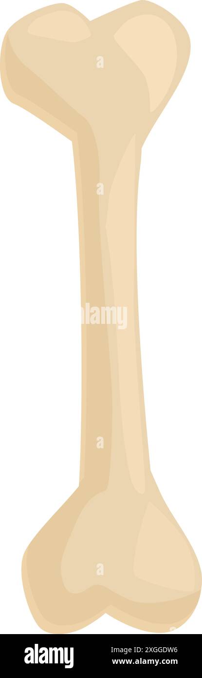 Single long bone standing up, simple cartoon illustration of an ...