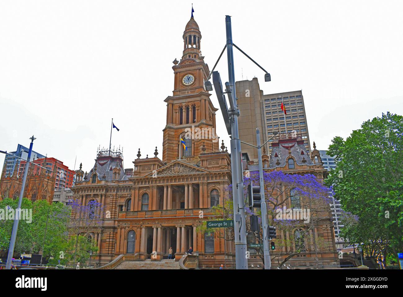 Sydney Town hall building with Jacaranda blooming Stock Photo - Alamy