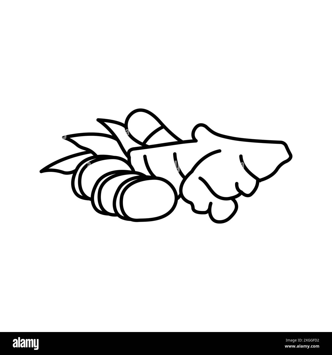 ginger icon vector design template in white background Stock Vector ...