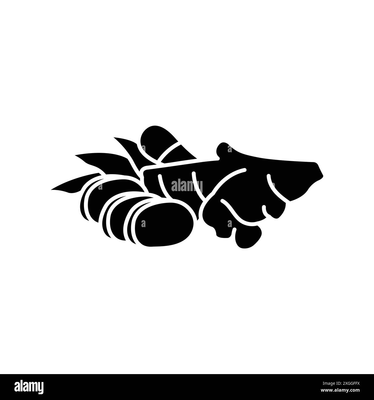 ginger icon vector design template in white background Stock Vector ...