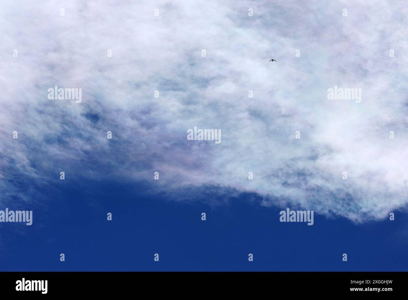 air, atmosphere, blue, climate, clouds, cumulus, sky, background, beat ...